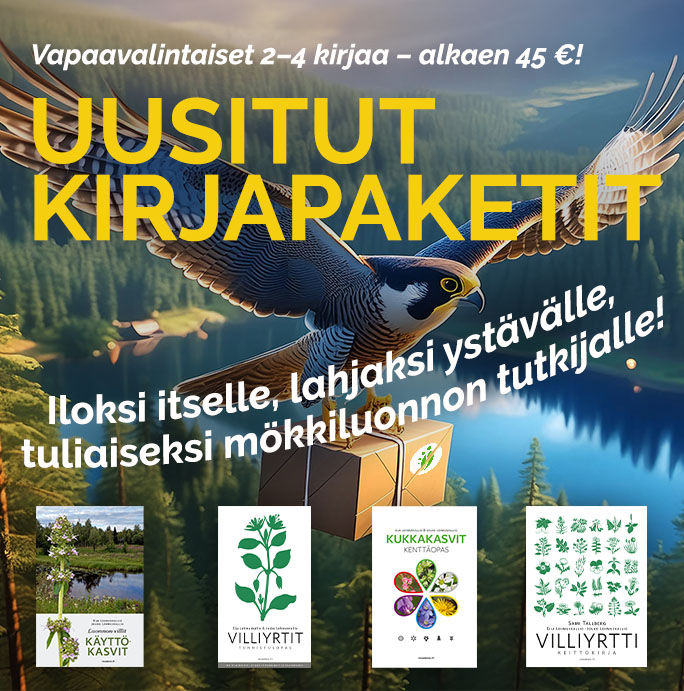 Mustarastas, Turdus merula - Linnut - LuontoPortti